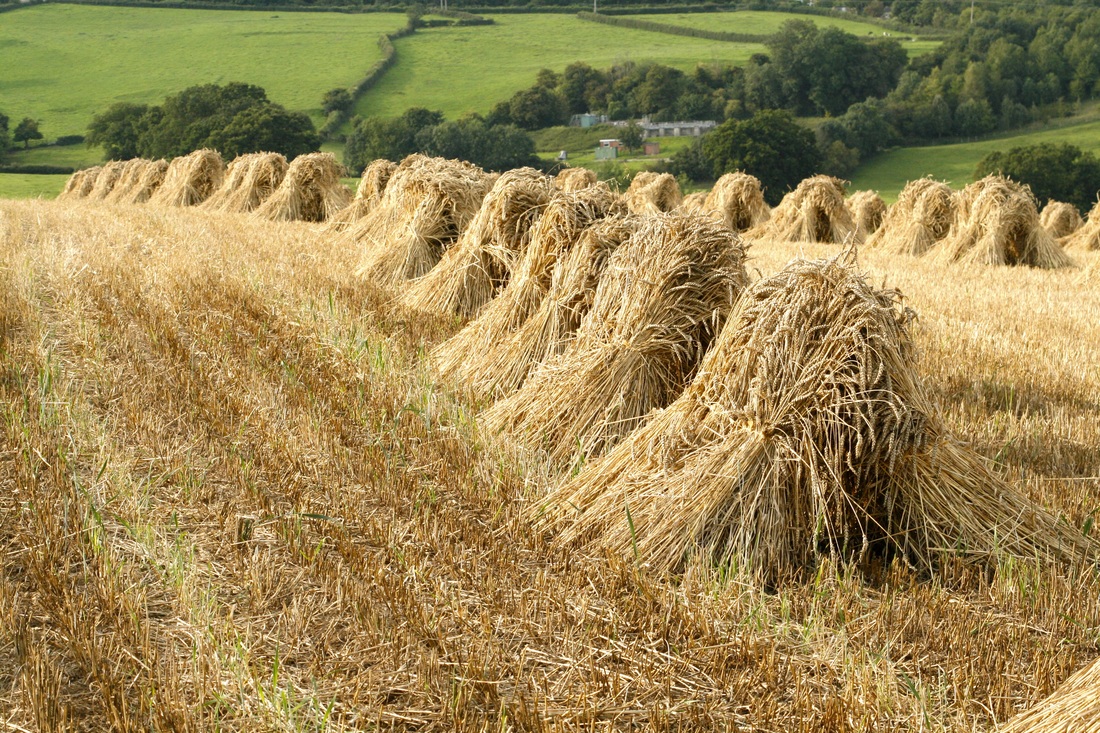 Lammas - Celtic Earth Spirit